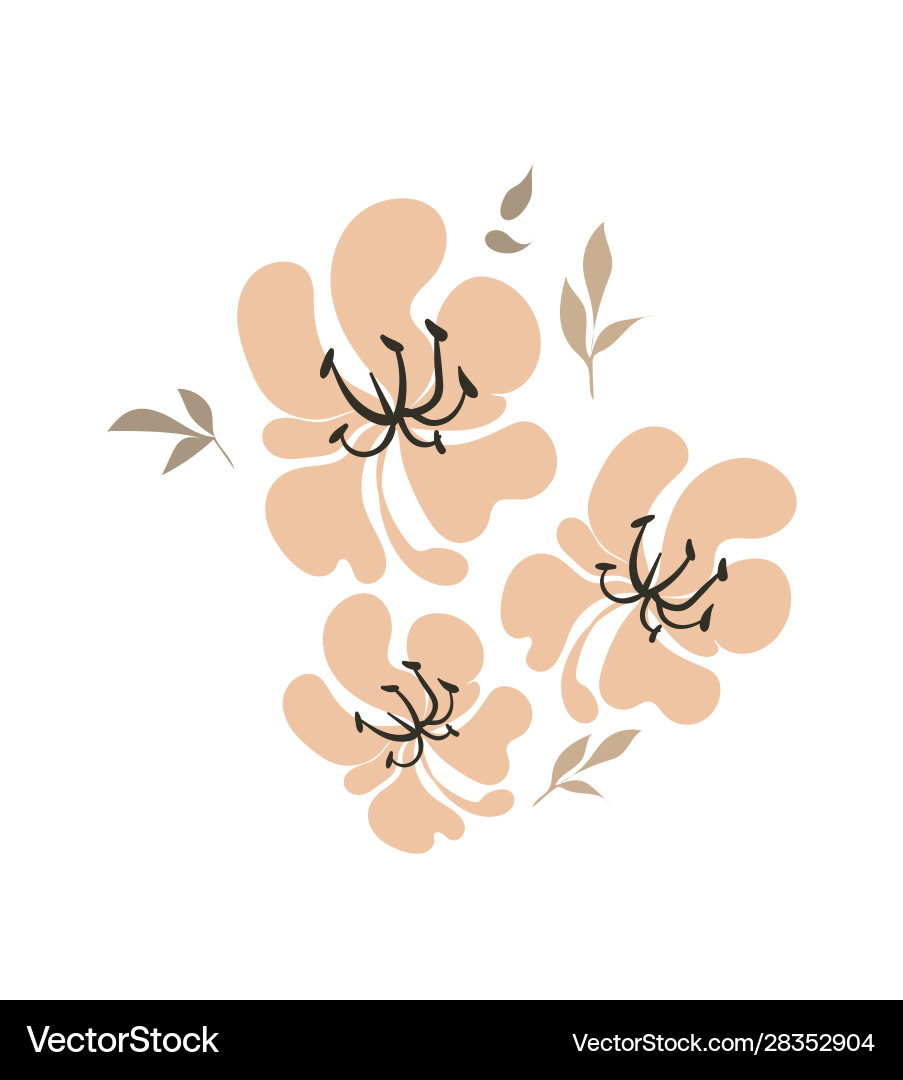 Floral stylized design formal composition pink Vector Image
