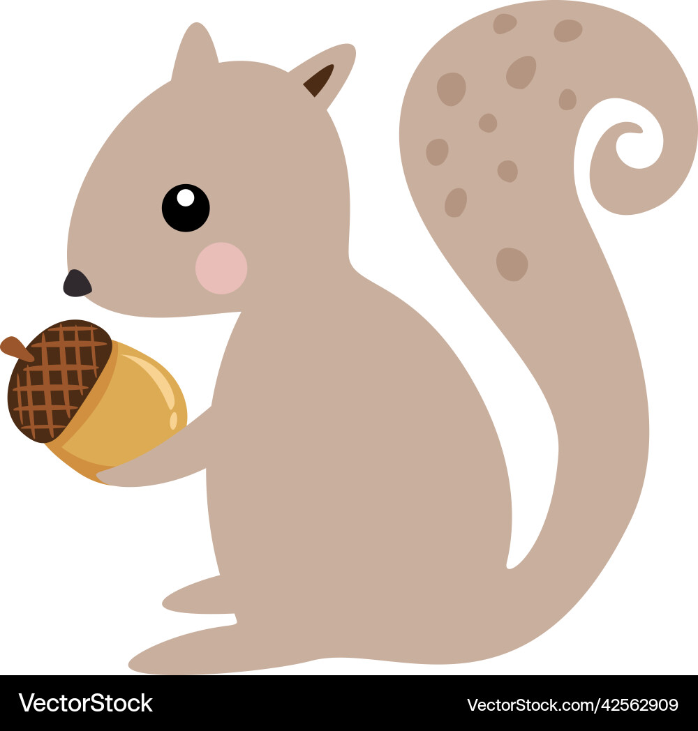 Cute squirrel holding an acorn Royalty Free Vector Image