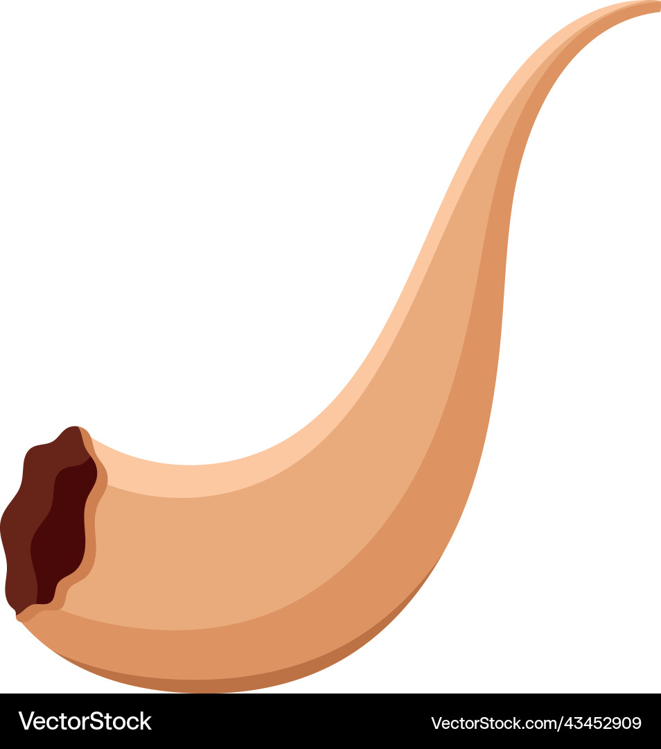 Sacred jewish horn Royalty Free Vector Image - VectorStock