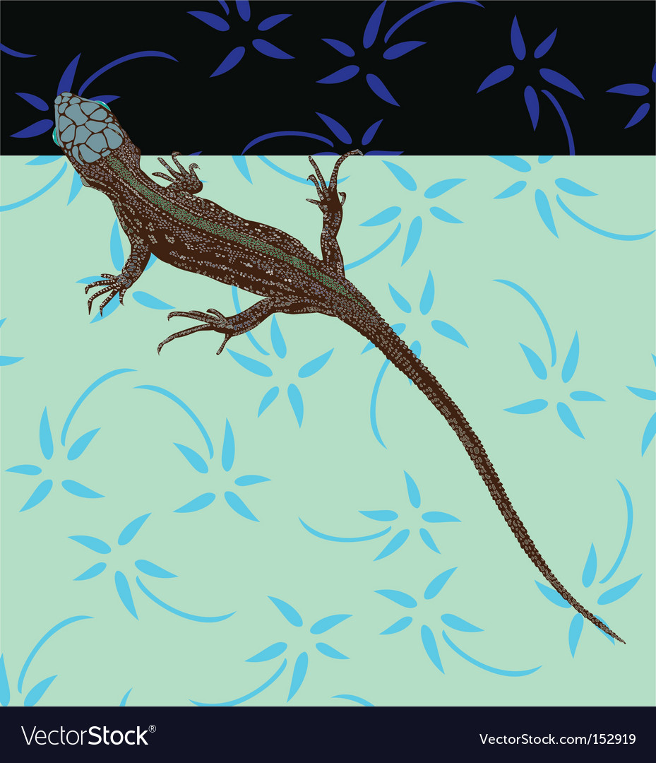 Lizard Royalty Free Vector Image - VectorStock