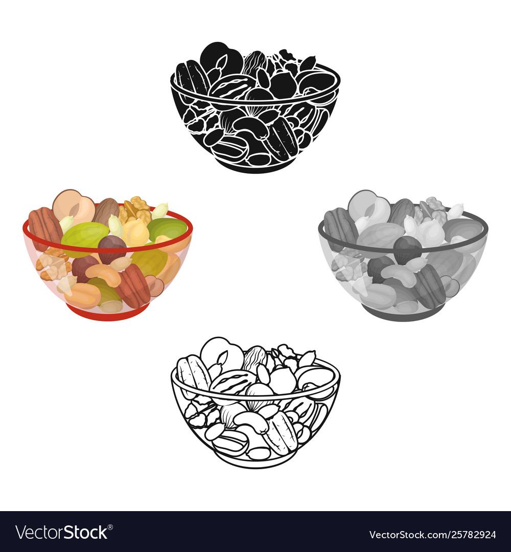 A mixture different kinds nuts different Vector Image A mixture different kinds nuts different Vector Image