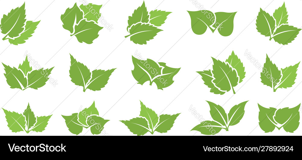 Green leaf set Royalty Free Vector Image - VectorStock