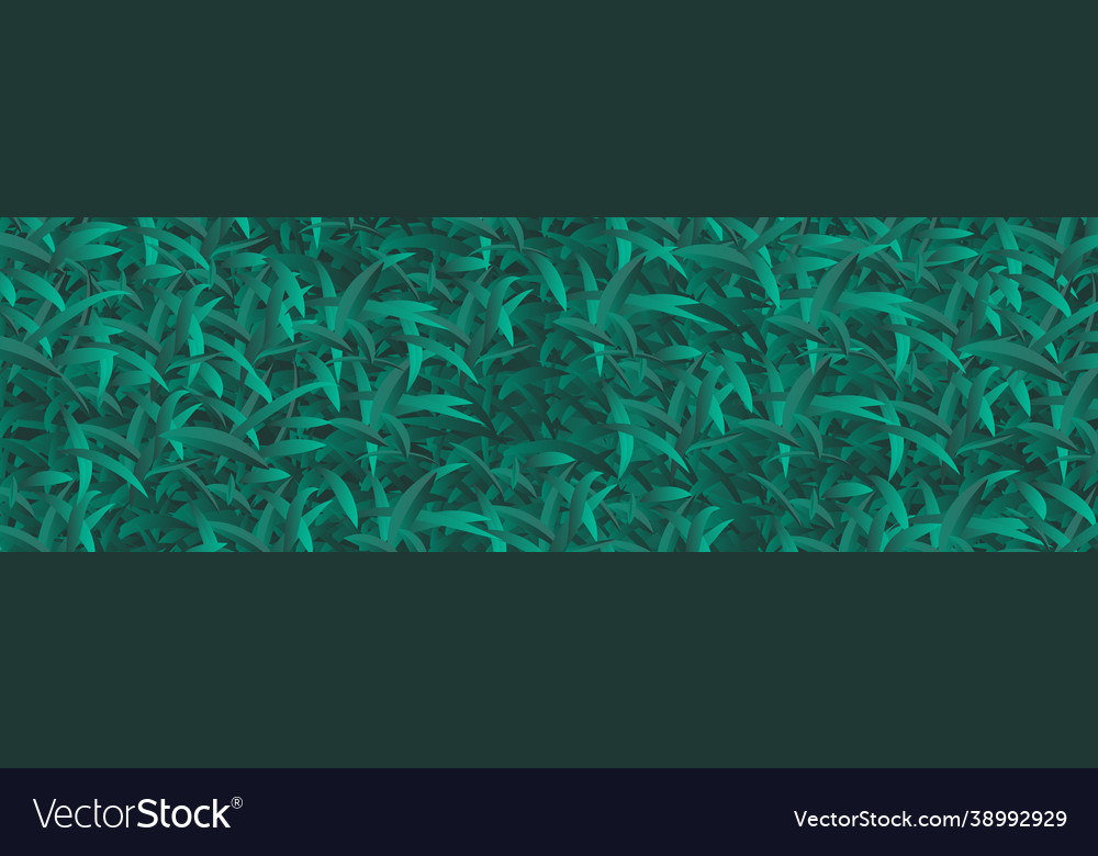 Realistic Dark Green Grass Lawn Background Vector Image