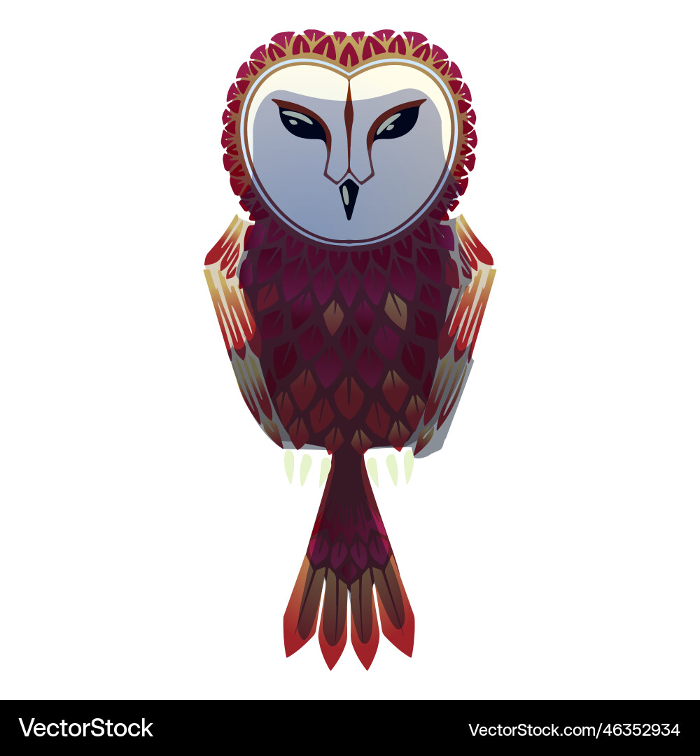 Barn owl Royalty Free Vector Image - VectorStock