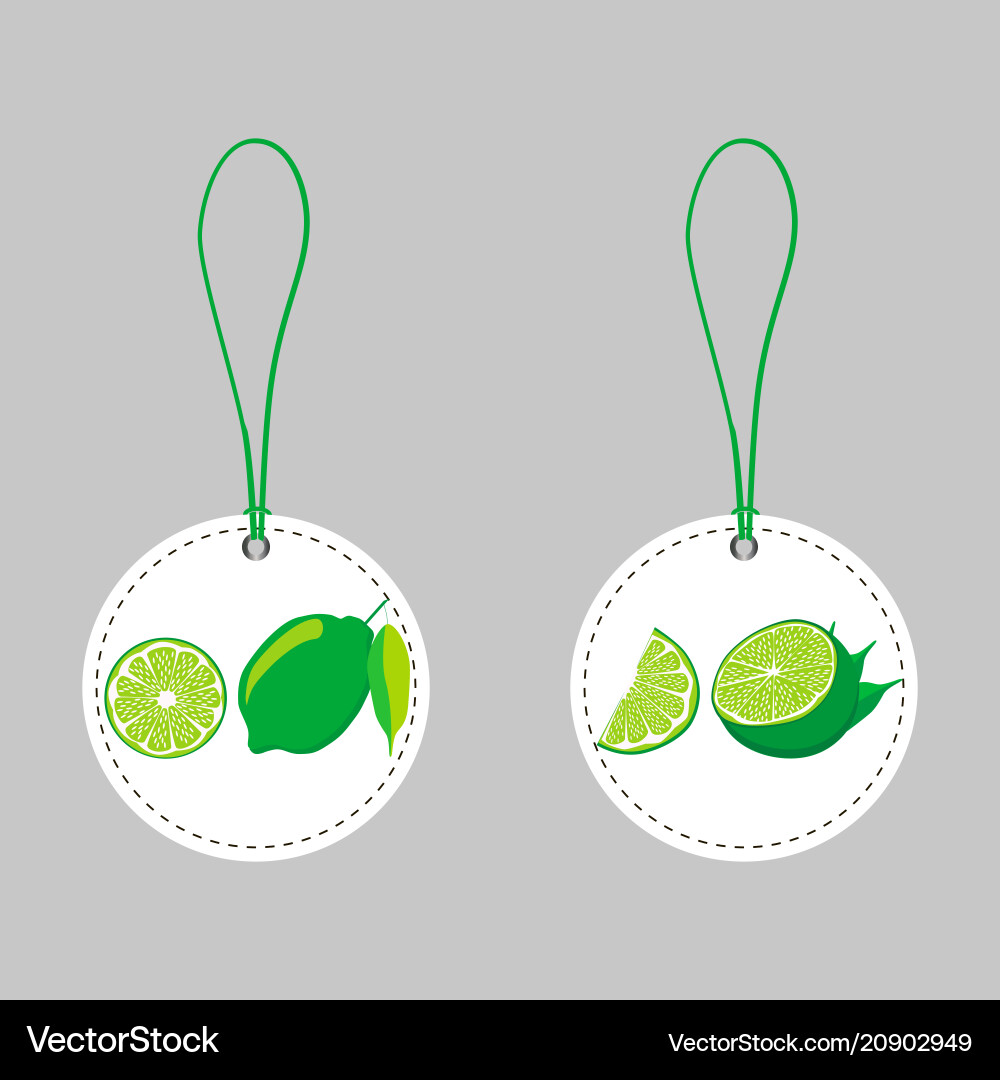 Lime Royalty Free Vector Image - VectorStock