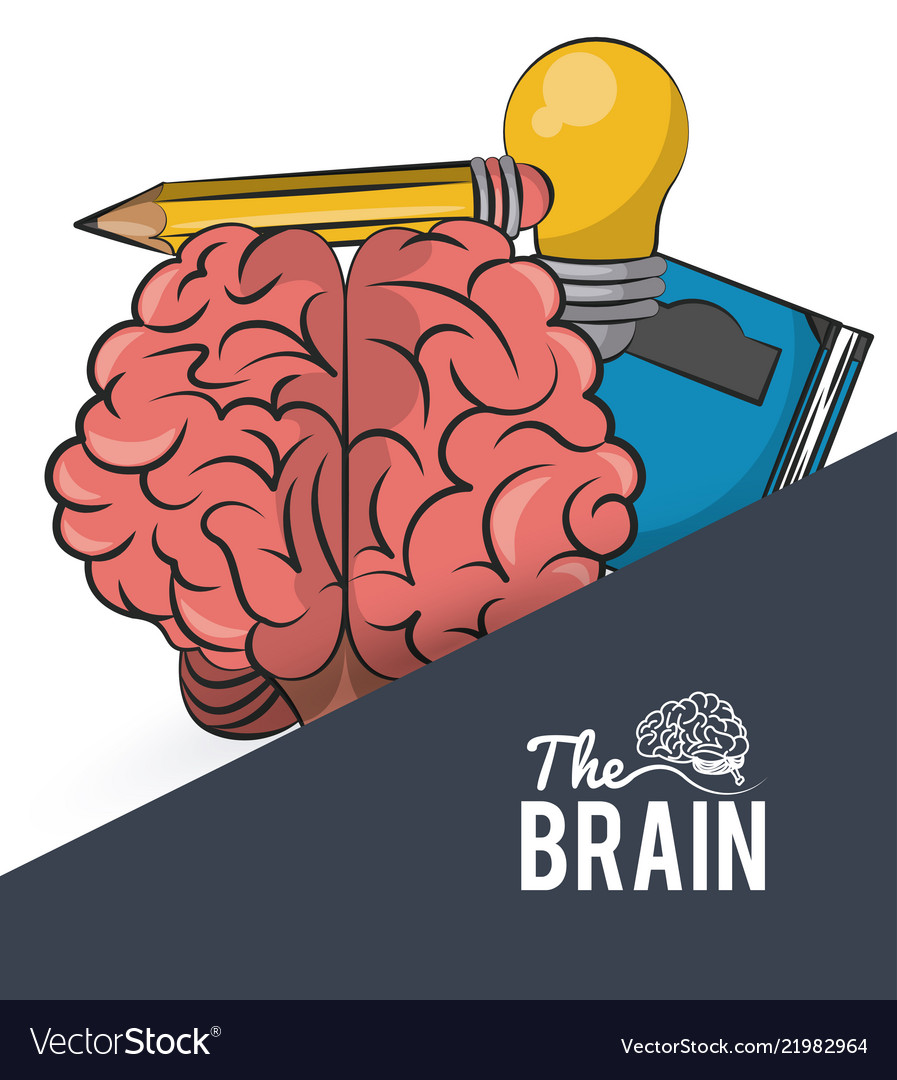Brain Concept Royalty Free Vector Image Vectorstock