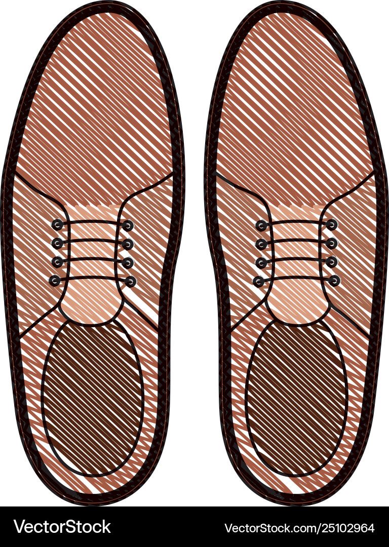 Elegant masculine pair shoes Royalty Free Vector Image