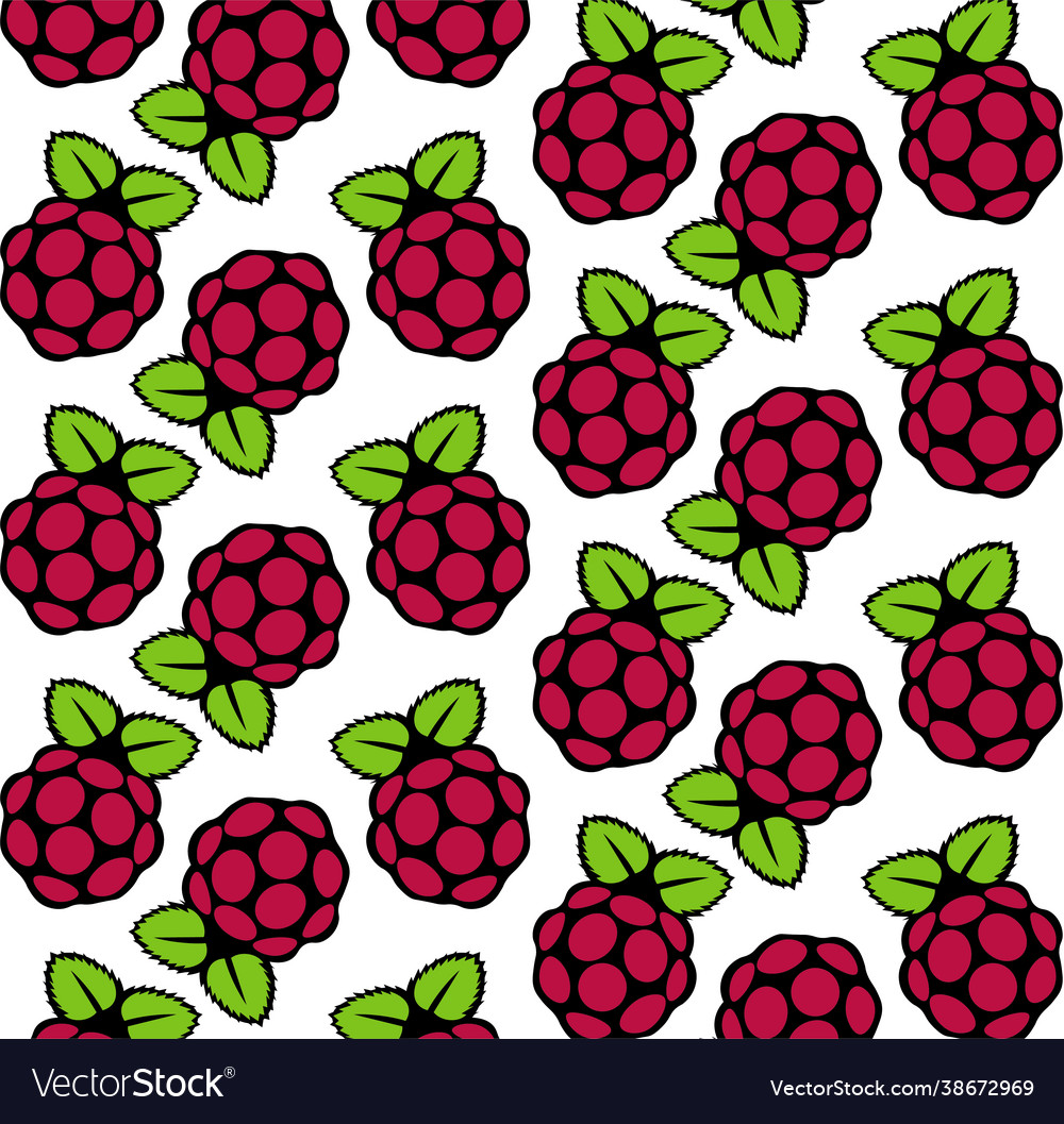 Raspberry fruit seamless pattern Royalty Free Vector Image