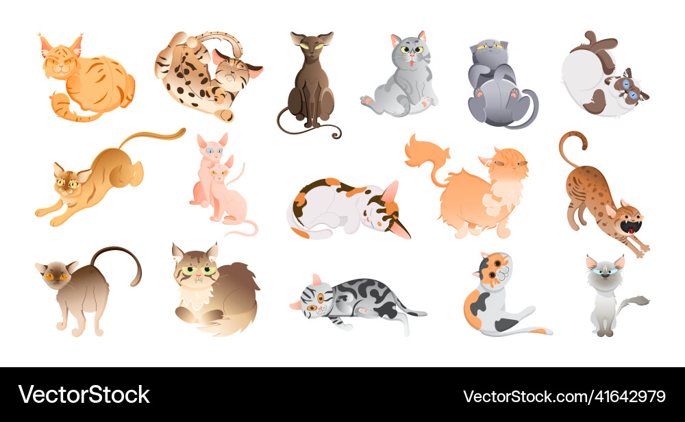 Set of purebred cats Royalty Free Vector Image