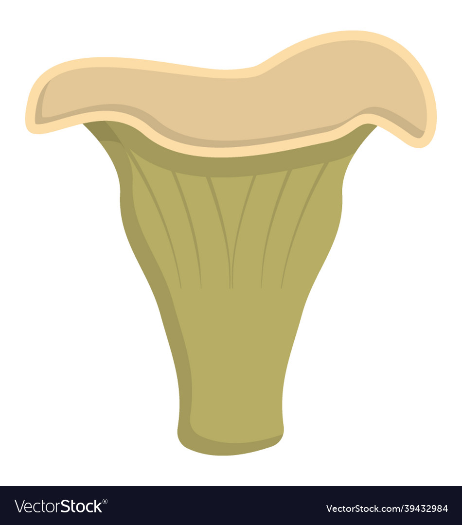 Toadstool Royalty Free Vector Image - VectorStock