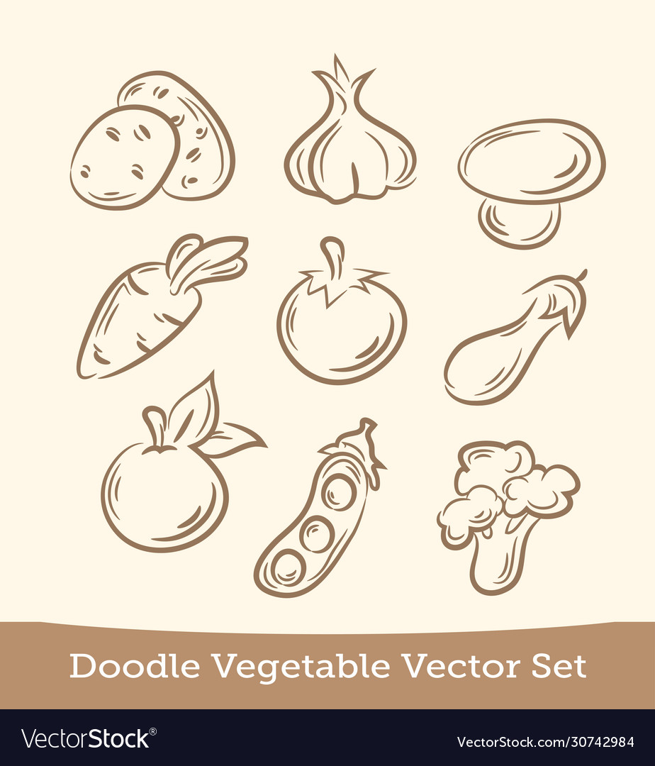 Vegetable set doodle isolated on white background Vector Image