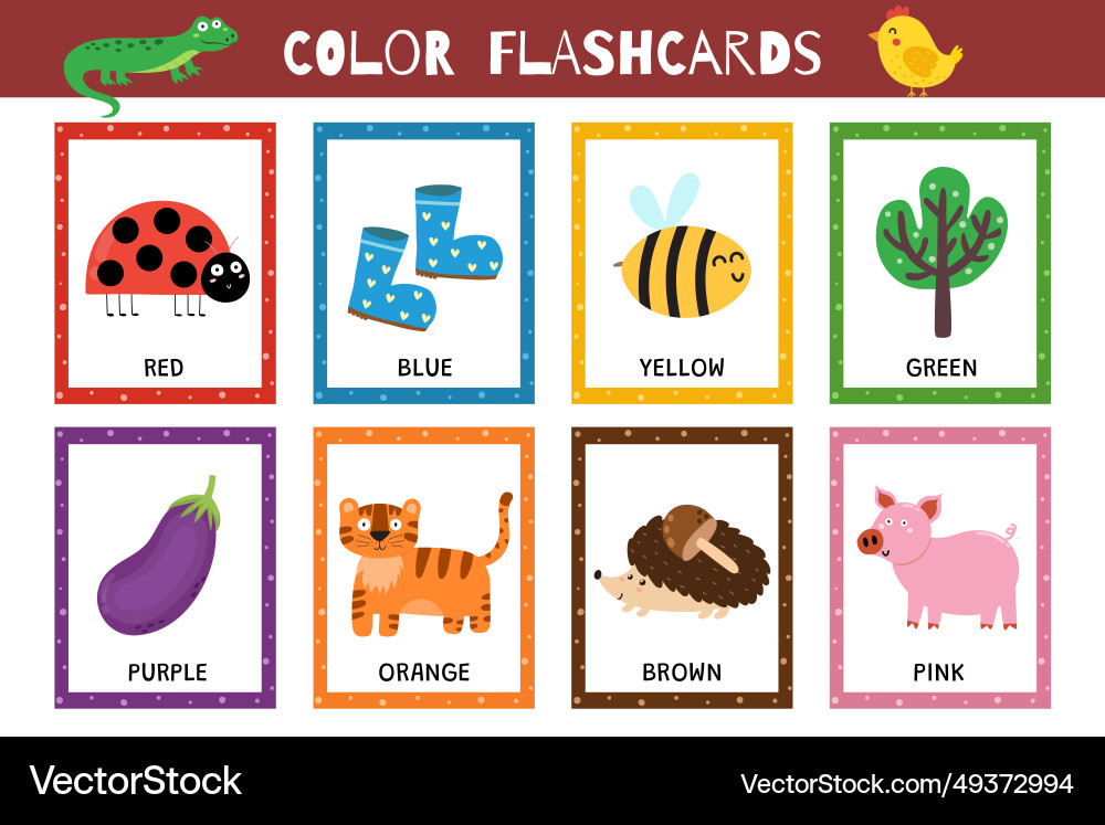 Basic colors flashcards collection for kids Vector Image