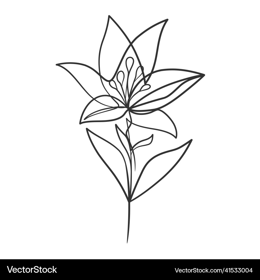 Continuous line drawing of simple flower Vector Image