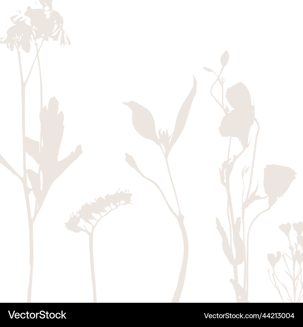 Delicate pattern with wild flowers herbs Vector Image