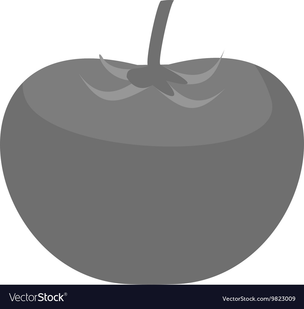 Tomato Royalty Free Vector Image - VectorStock Tomato Royalty Free Vector Image - VectorStock