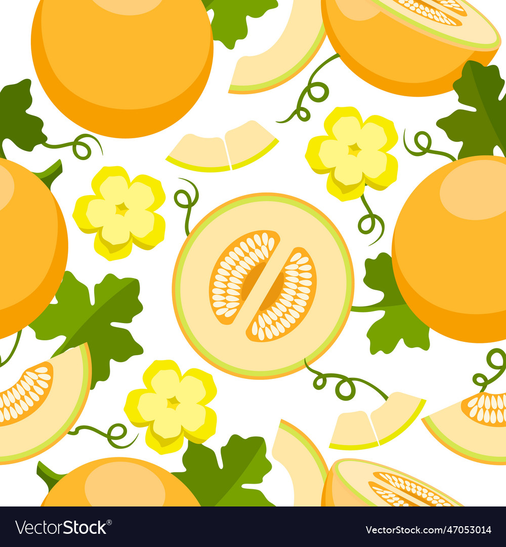 Melon seamless pattern Royalty Free Vector Image