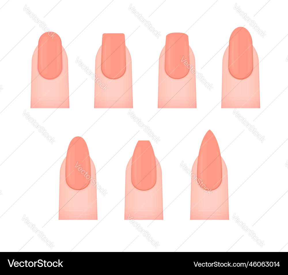 Various nail shapes set Royalty Free Vector Image