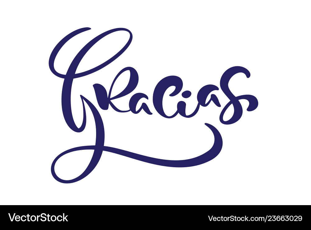 Modern brush calligraphy gracias hand written Vector Image