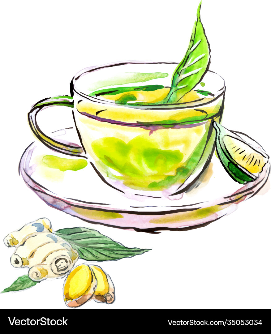 Watercolor tea ginger and lemon Royalty Free Vector Image