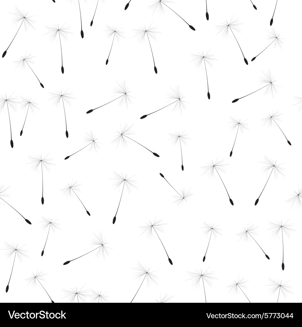 Abstract dandelion background Royalty Free Vector Image