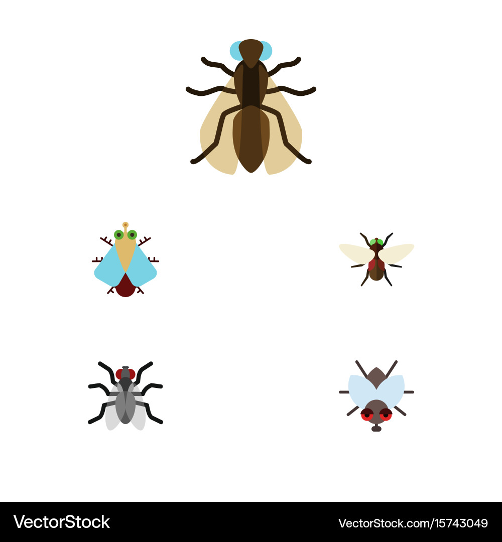 Flat icon housefly set of tiny buzz mosquito and Vector Image