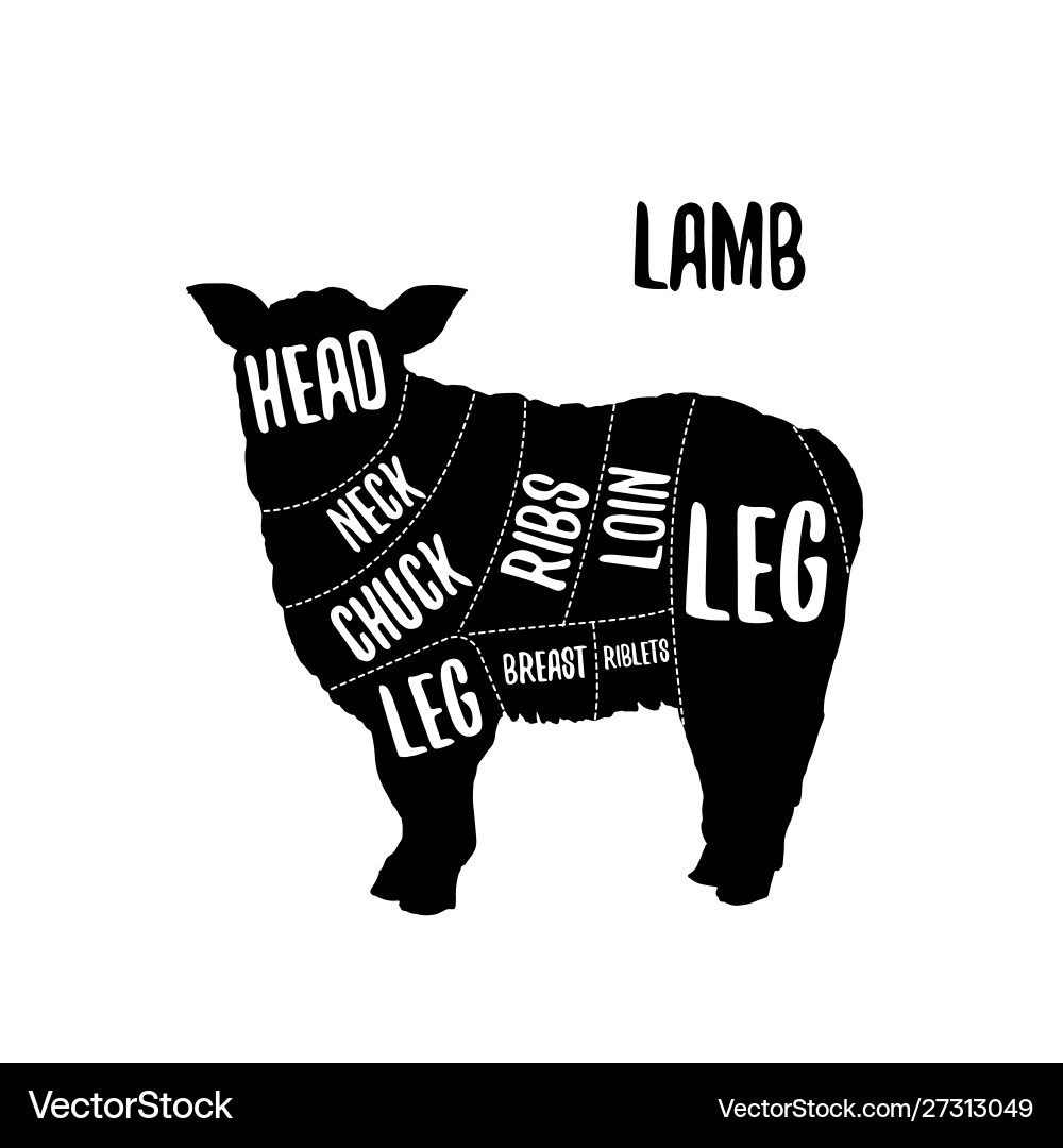 Lamb meat cutting charts Royalty Free Vector Image