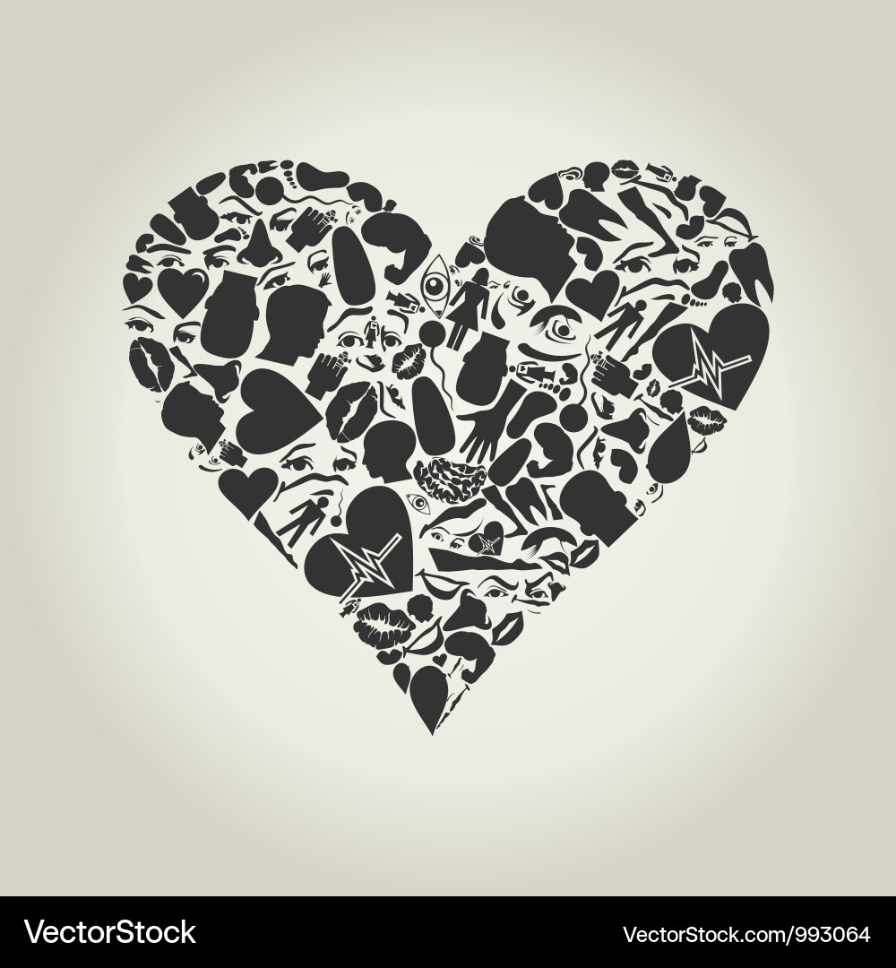 Heart of a part body Royalty Free Vector Image