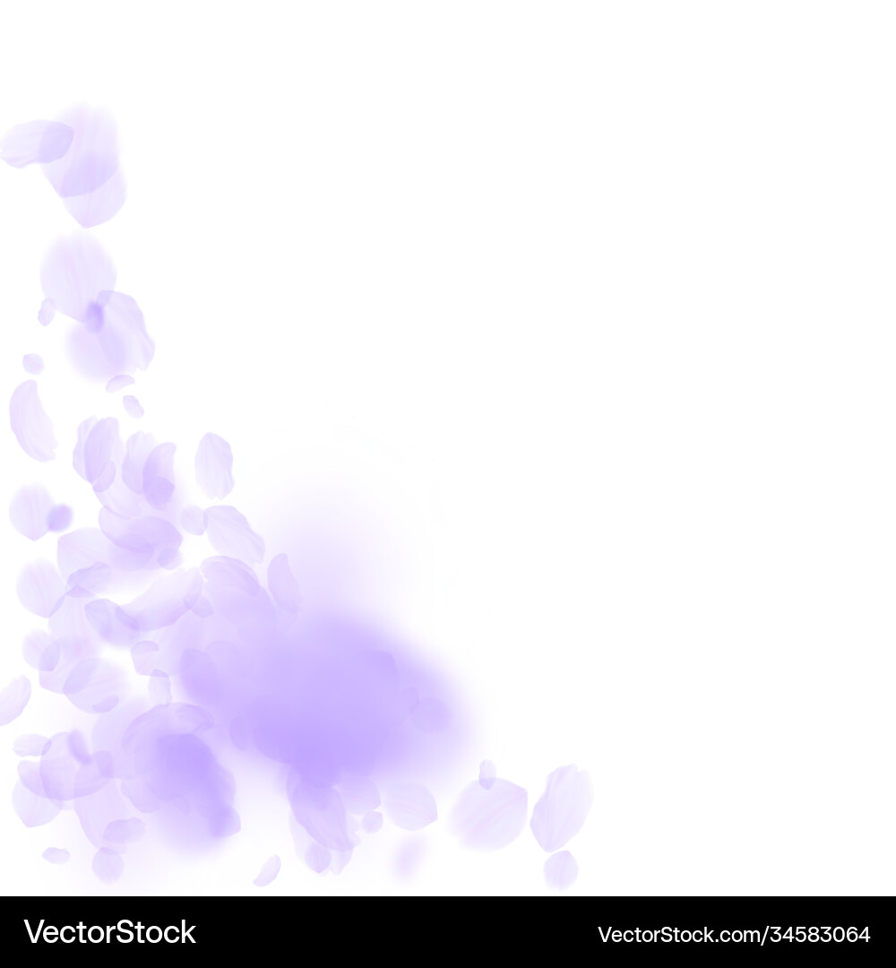Violet flower petals falling down vibrant romanti Vector Image