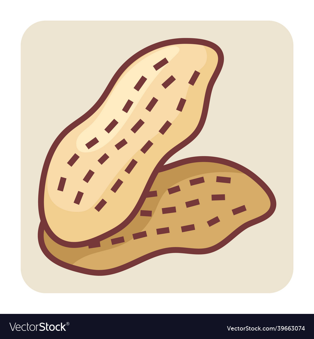Peanuts Royalty Free Vector Image - VectorStock