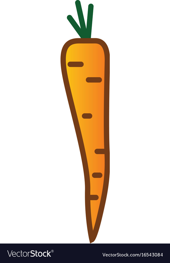Carrot linear thin line icon Royalty Free Vector Image Carrot linear thin line icon Royalty Free Vector Image