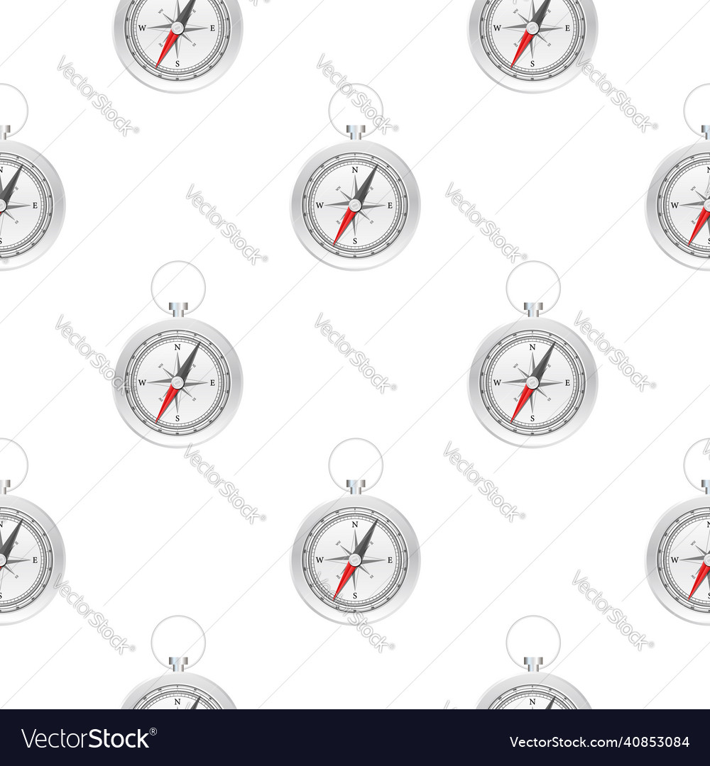 Compass pattern isolated on white background flat Vector Image