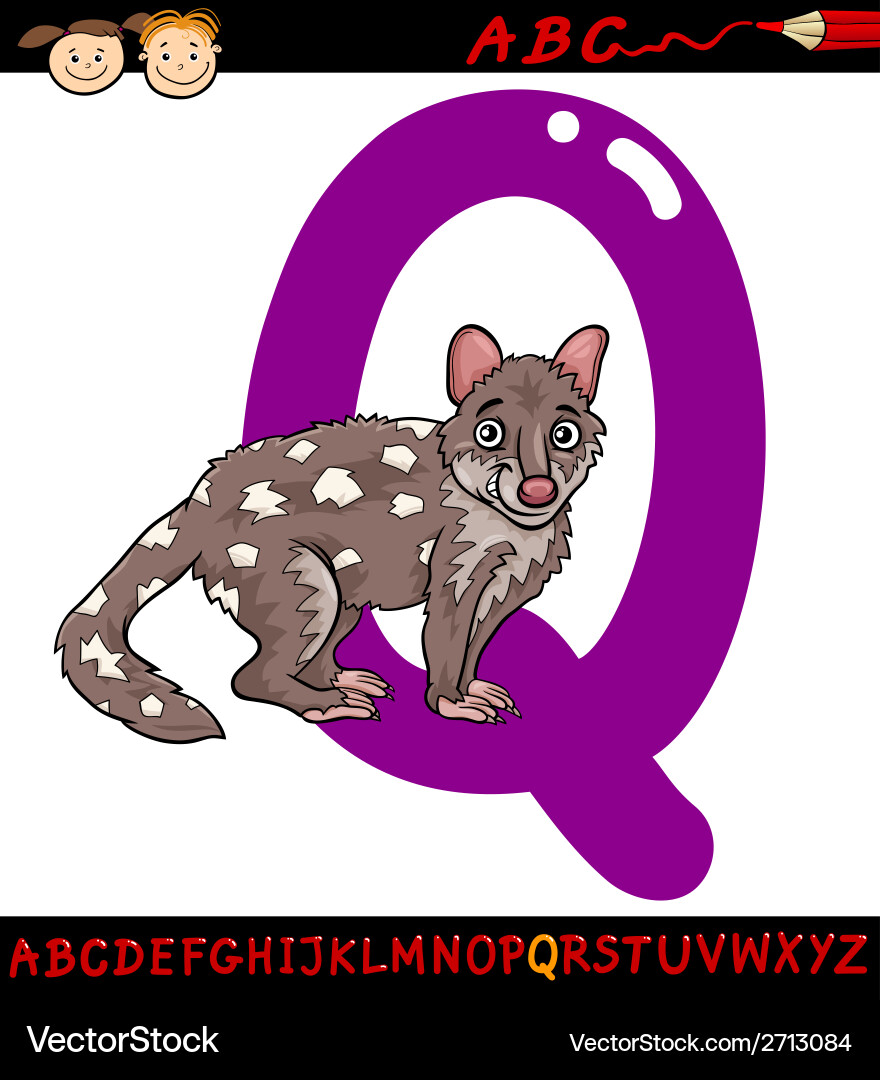 Letter q for quoll cartoon Royalty Free Vector Image