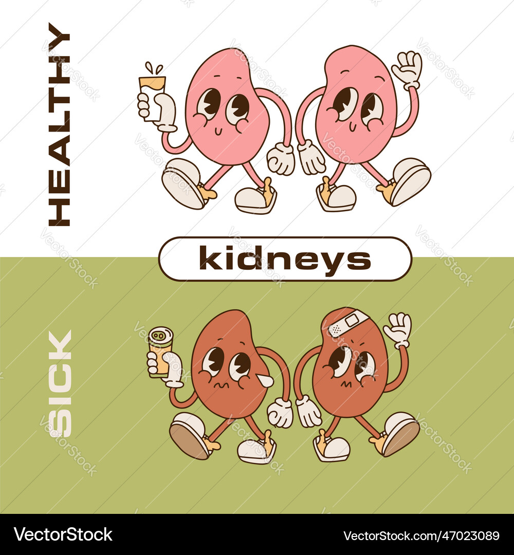 Sad suffering sick vs healthy smiling kidneys Vector Image