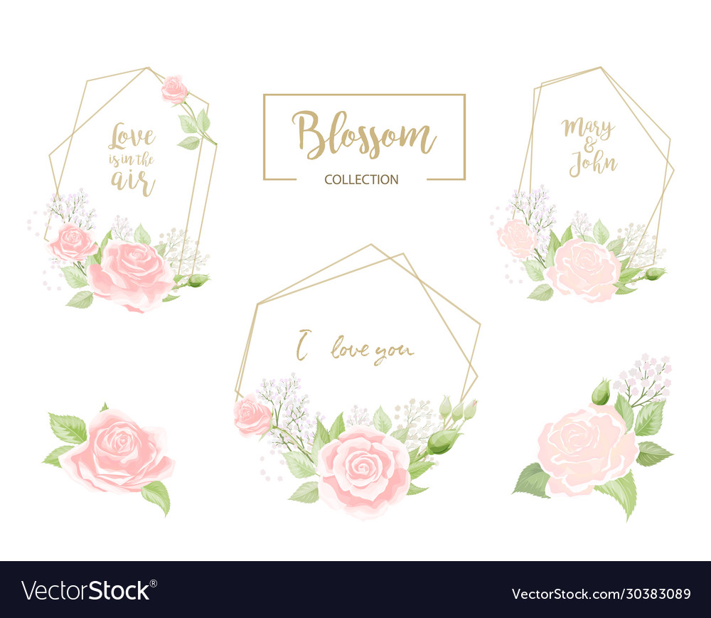 The frames set with elegant wild pink roses for Vector Image
