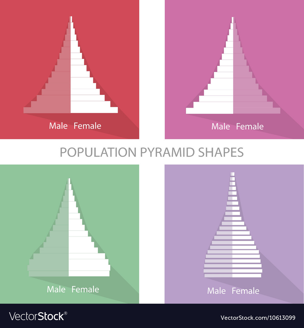 Different Types Of Population Pyramids Graphs Vector Image