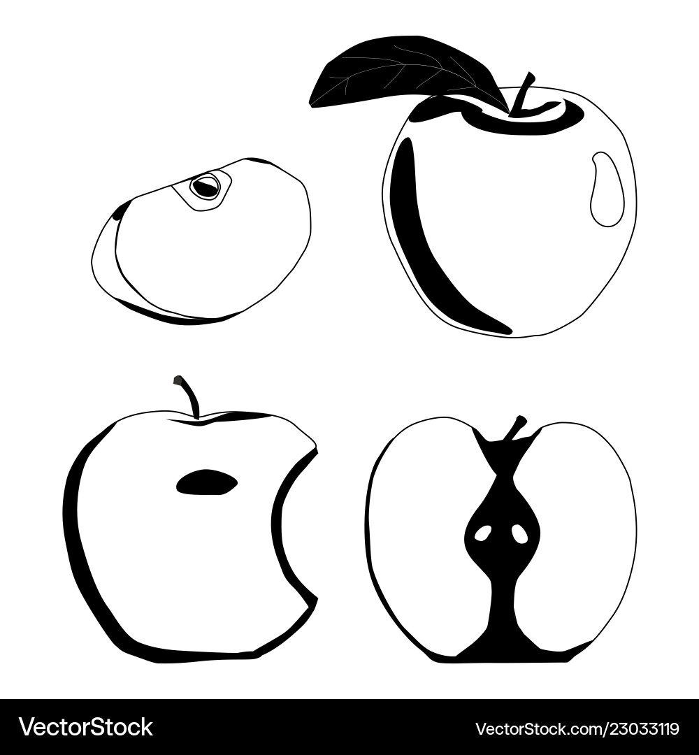 Whole ripe fruit colors apple Royalty Free Vector Image