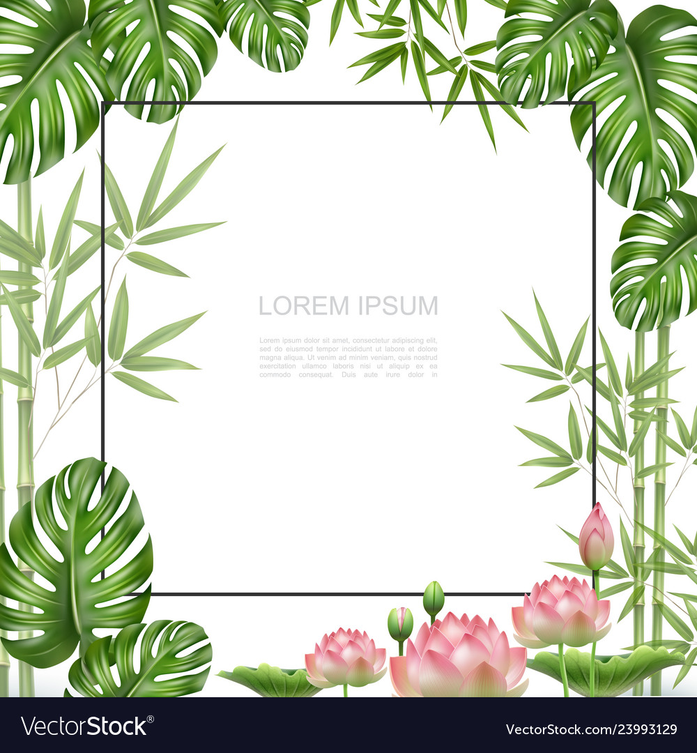 Realistic Beautiful Tropical Plants Template Vector Image