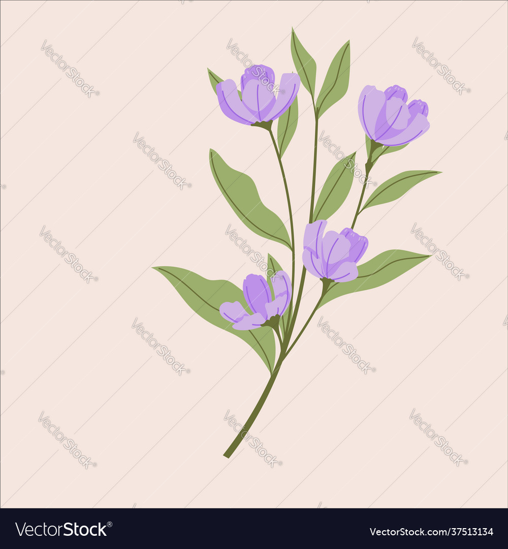 Beautiful spring flower design flat Royalty Free Vector