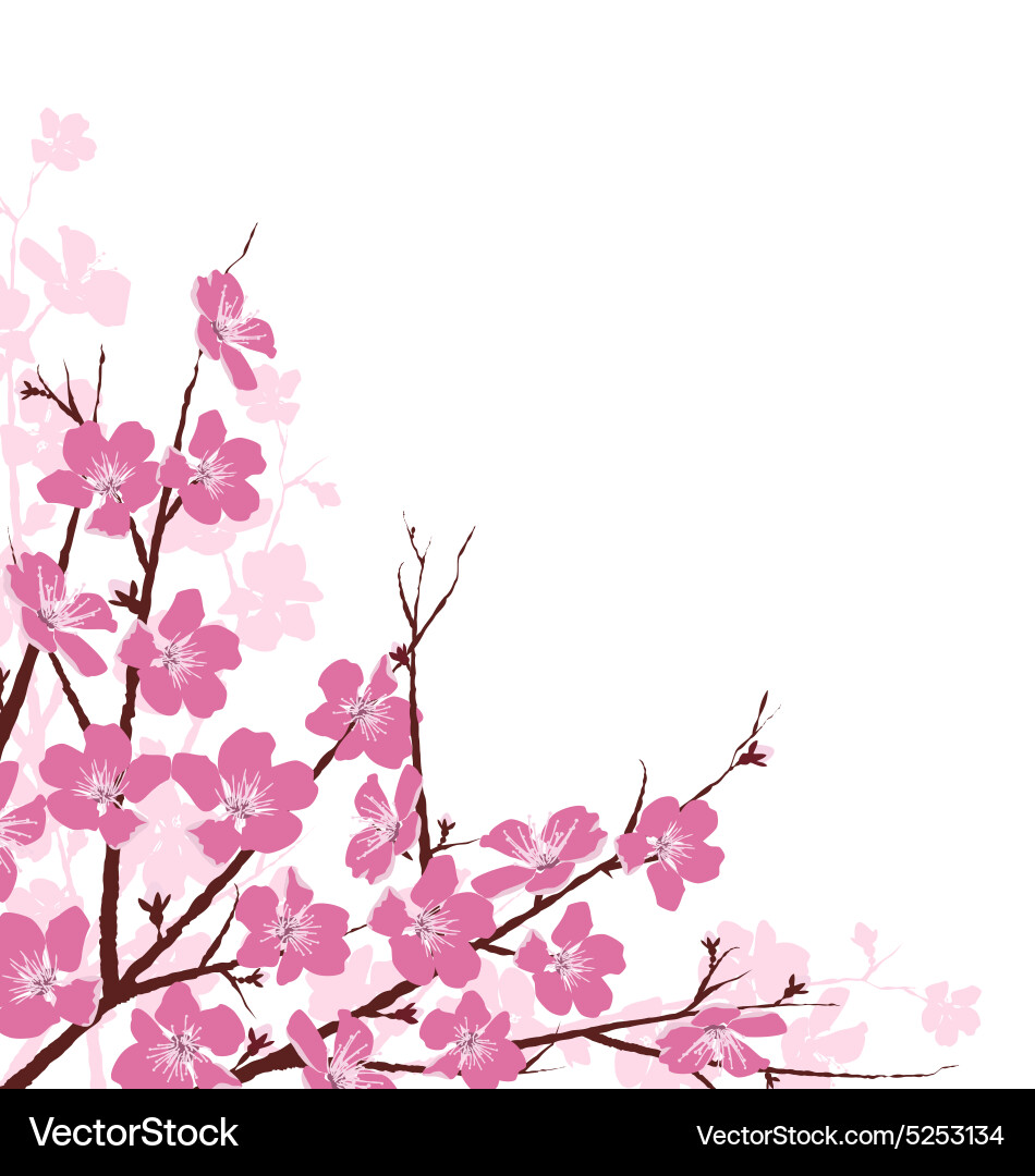 Branches with pink flowers isolated on white Vector Image