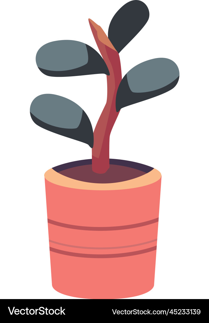 Flat plant pot Royalty Free Vector Image - VectorStock