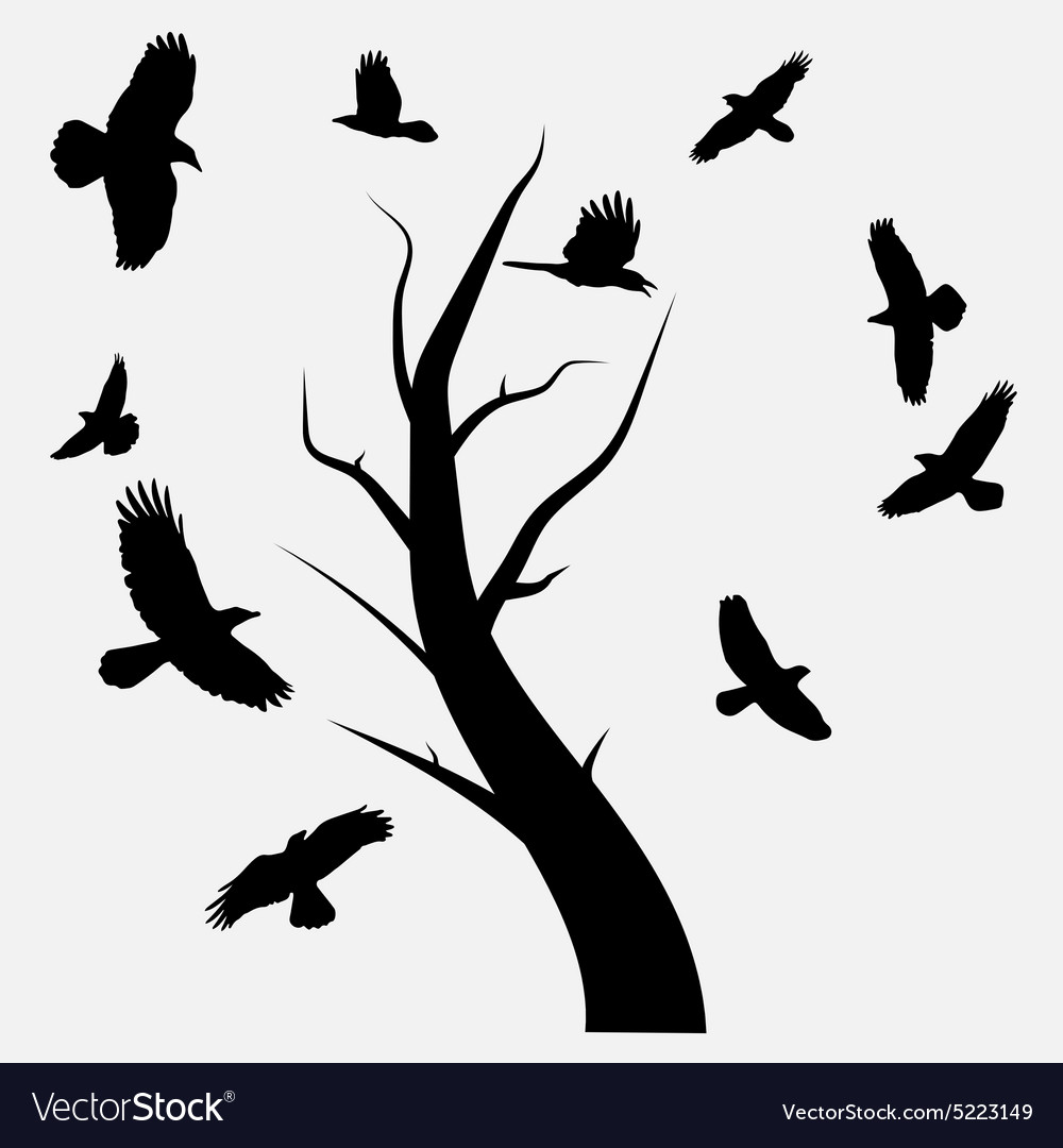 Birds in flight Royalty Free Vector Image - VectorStock