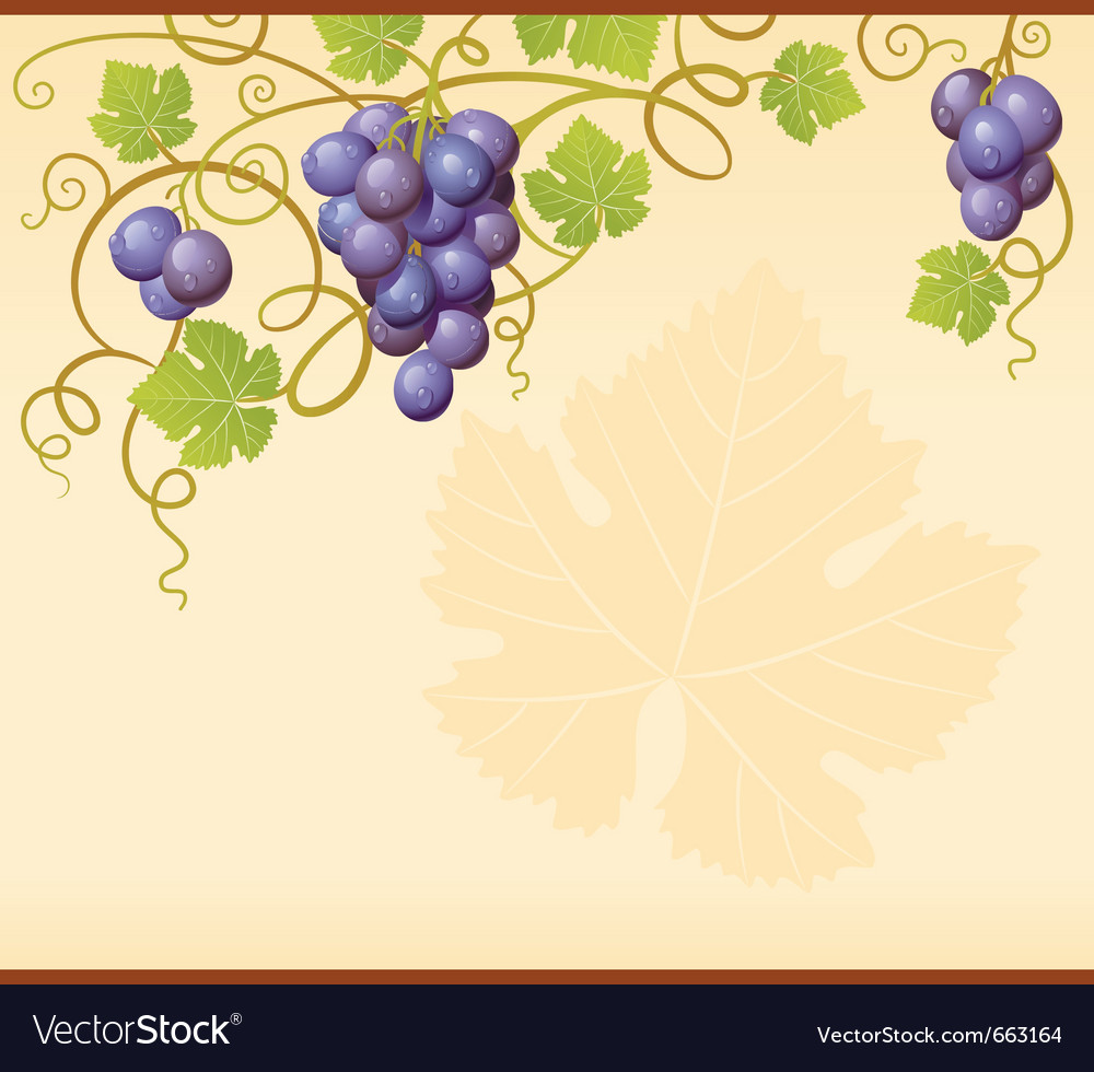 Grape frame Royalty Free Vector Image - VectorStock