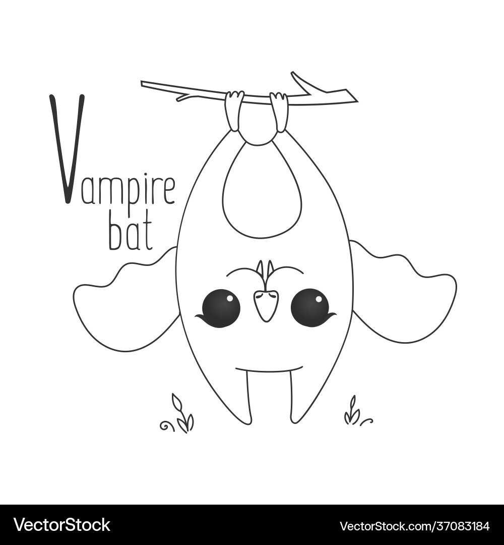 Alphabet letter animals children bat vampire Vector Image