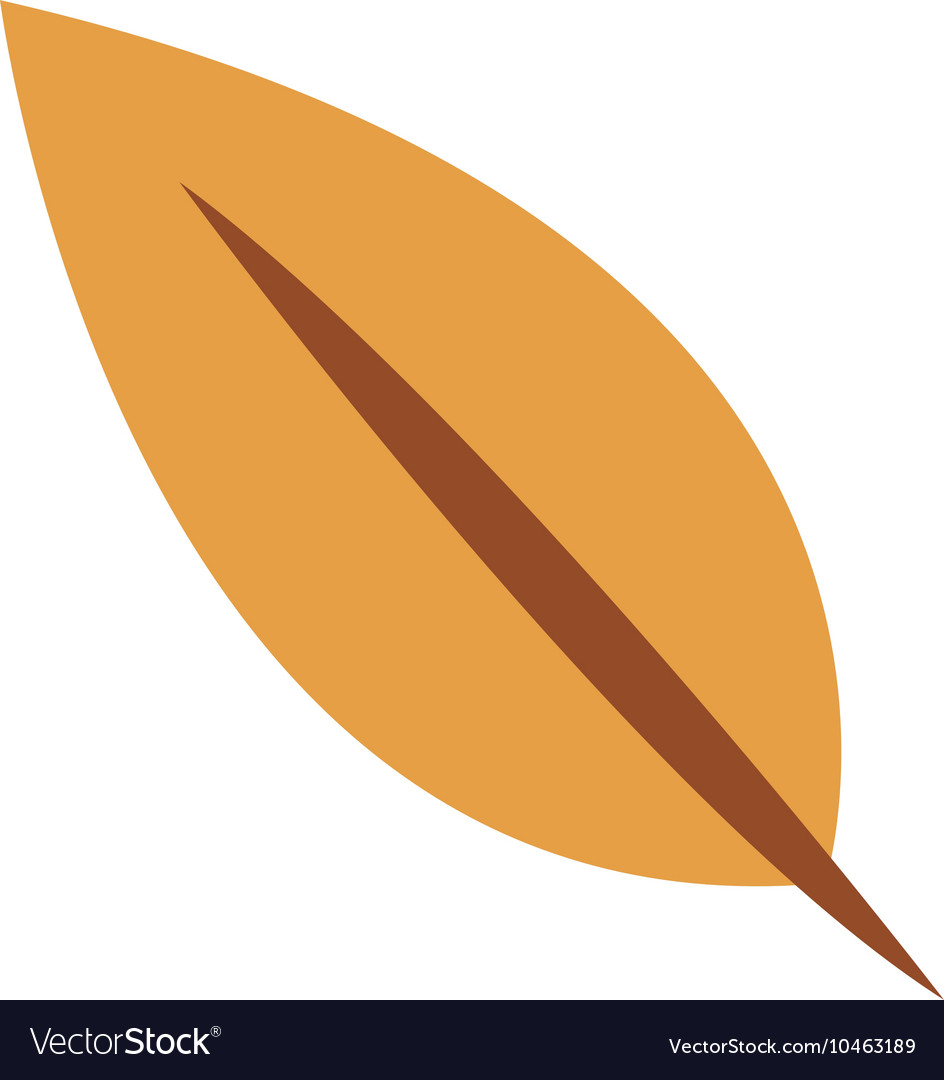 Fall leaf icon Royalty Free Vector Image - VectorStock