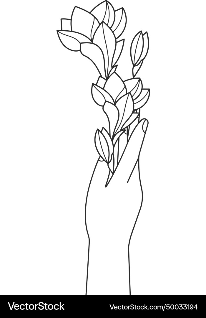 Hand holding flowers outline Royalty Free Vector Image
