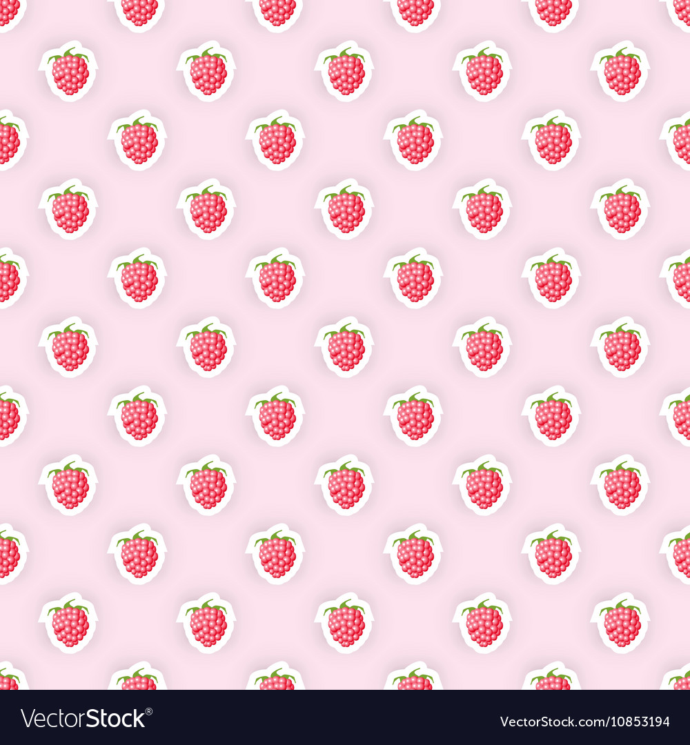 Seamless pattern background with raspberry fruit Vector Image