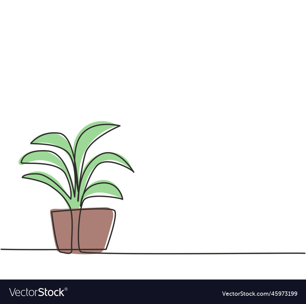 Single Continuous Line Drawing Potted Plants Vector Image