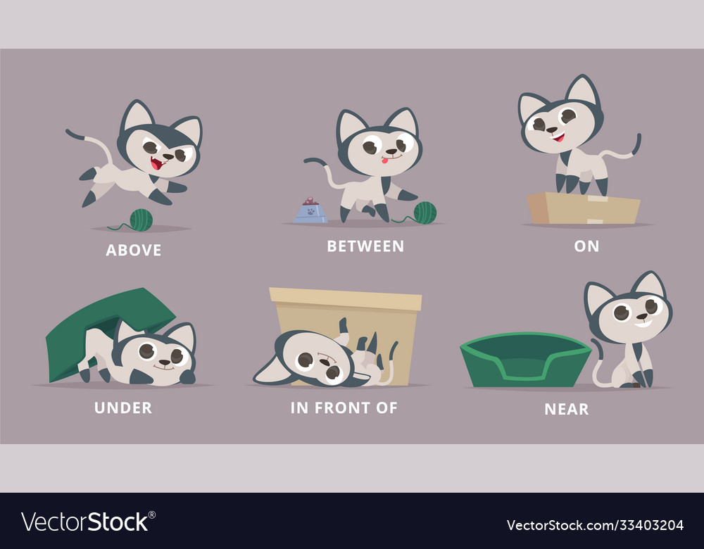 Prepositions cat playing with box learning Vector Image