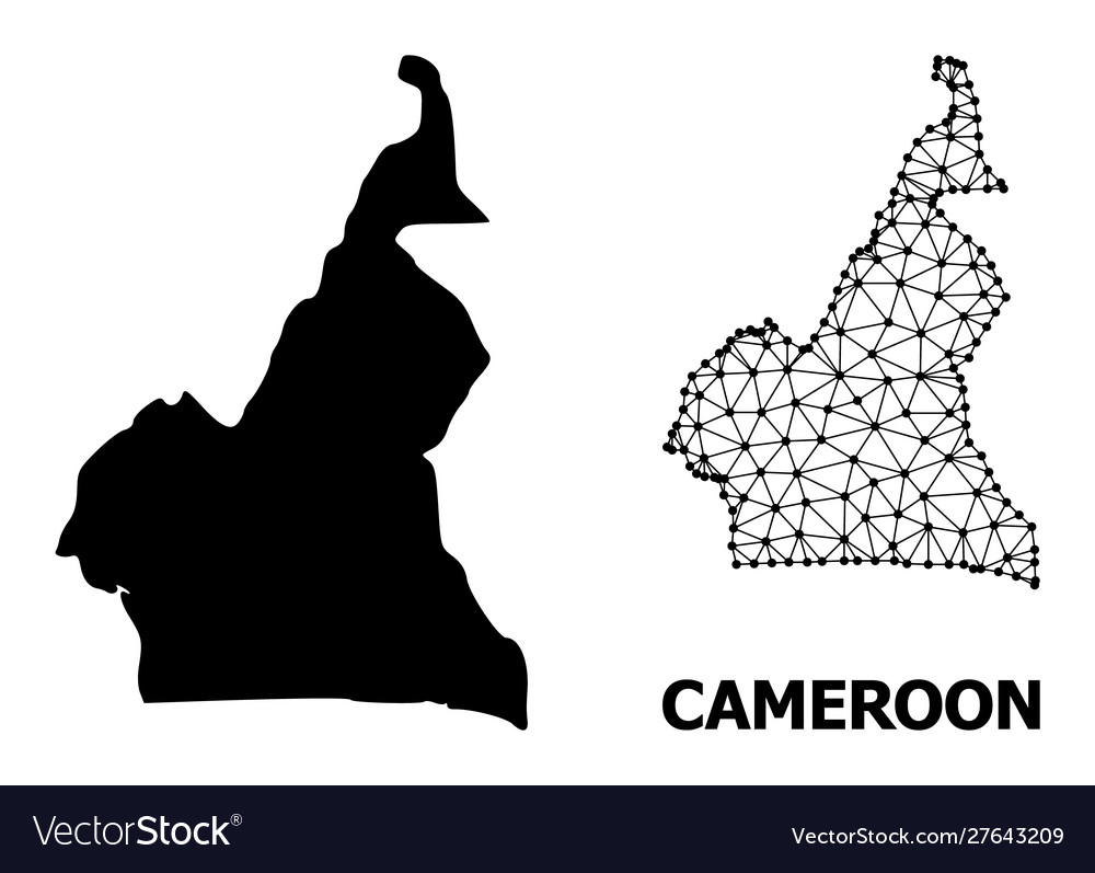 Solid and mesh map cameroon Royalty Free Vector Image