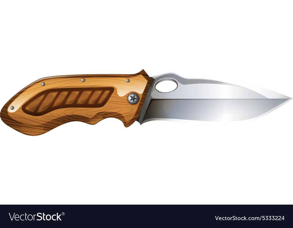 Object Royalty Free Vector Image - VectorStock